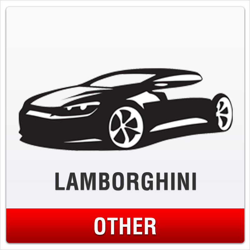 Lamborghini No-Drill Front License Plate Mount for Other Models – Carbonio